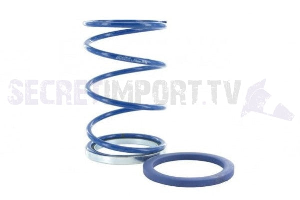 Torque Spring Polini Honda Ruckus 50 – Secretimport.tv